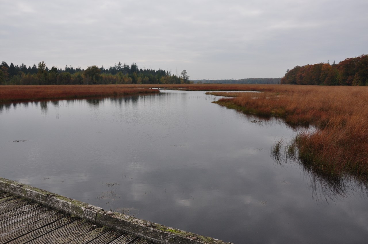 Drenthe: Wandelvanuit Grolloo - Wandelvanuit