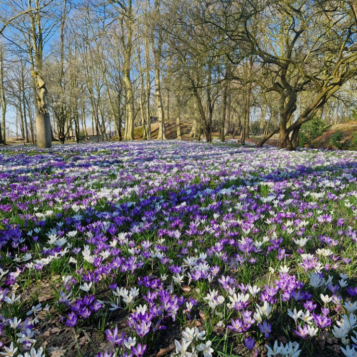 Wandelroute vanaf Stania State Trynwâlden - Wandelvanuit