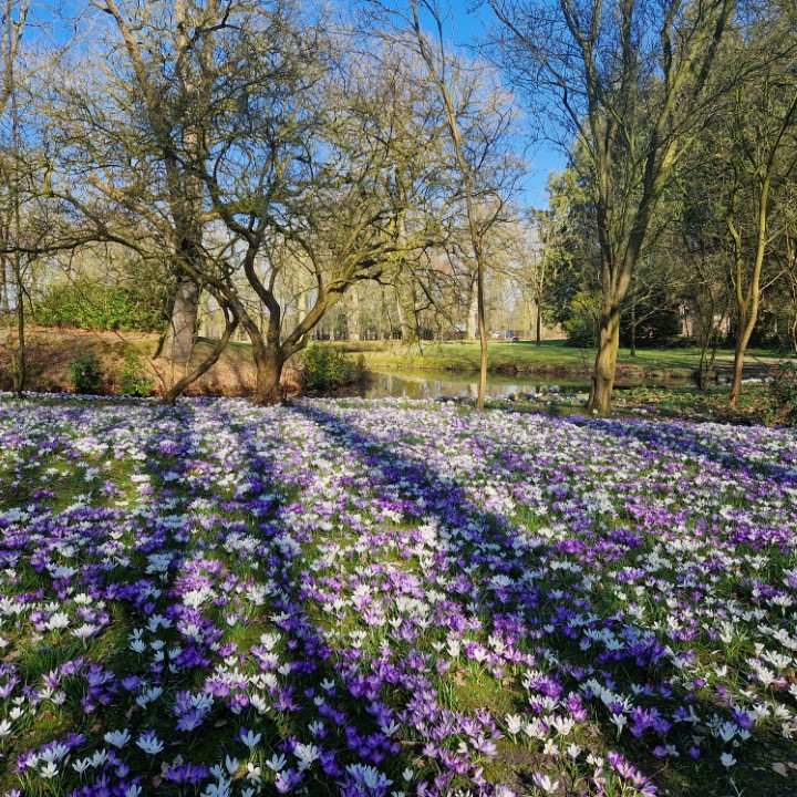 Wandelroute vanaf Stania State Trynwâlden - Wandelvanuit